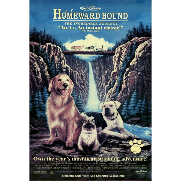 Homeward Bound The Incredible Journey Poster