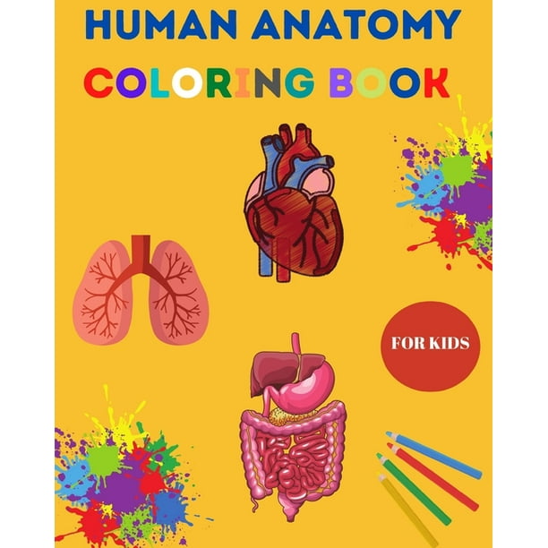 Human Anatomy Coloring Book for Kids : Human Body Coloring Sheets ...