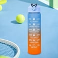 Luxcidy Gradient Water Bottle B, Flip Top Leakproof, Sports Cup, for ...