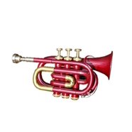pBone Plastic Trumpet, Yellow - Walmart.com