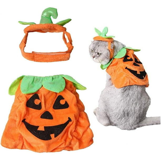 Halloween Costume for Cats Halloween Pumpkin Costume Hat Pumpkin ...