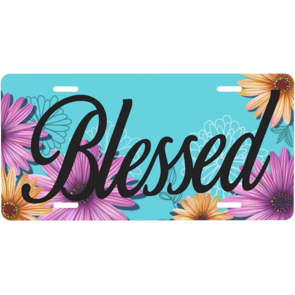 Vanity License Plates Front Car