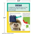 Carson Dellosa Education Mini Posters: Nonfiction Text Features Poster ...