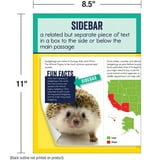 Carson Dellosa Education Mini Posters: Nonfiction Text Features Poster ...