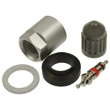 Schrader Tpms Service Pack - Ford Snap In - Walmart.com