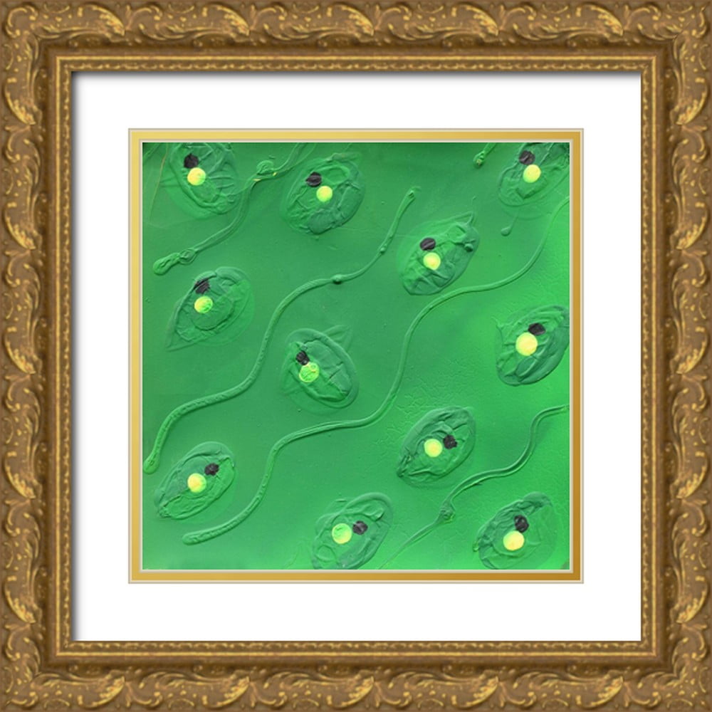 Ballion, Sidney 26x26 Gold Ornate Wood Framed with Double Matting ...