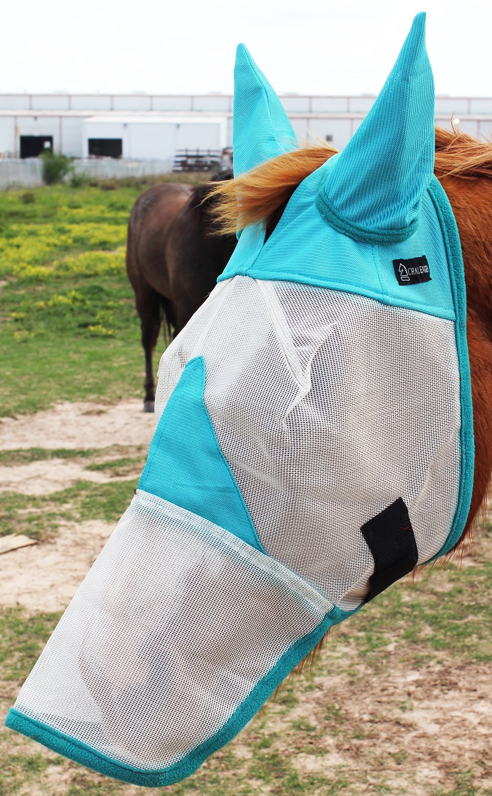 Equine Horse Fly Mask Summer Spring Airflow Mesh UV Mosquitoes 73293N ...
