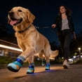 Dog Shoes - Light Up Dogs Shoes, Medium Dog Shoe, Breathable Anti-Slip ...