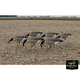 Avian-X AXP Lesser Canada Goose Decoy - Walmart.com