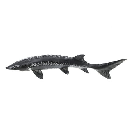 Simulated Sturgeon Fish Model Kids Simulation Marine Animal Model Fake ...