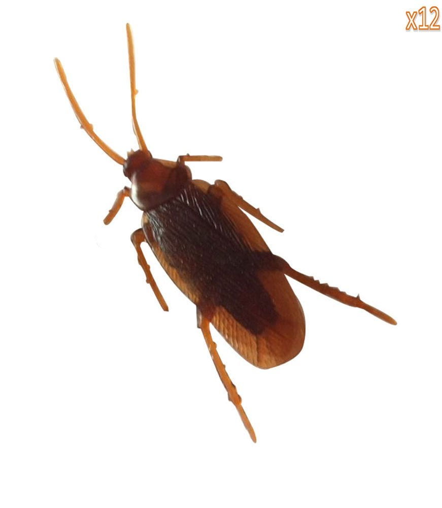 Halloween 12- Fake Roaches Prank Novelty Cockroach Bugs Look Real ...