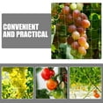 2 Pcs Greenhouse Vegetable Network Garden Netting Climbing For Fruits
