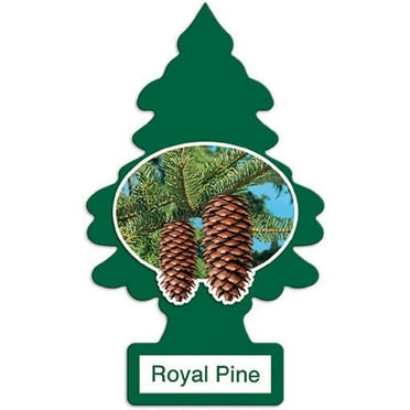 LITTLE TREES Car Fresh Scent Black Ice Air Freshener - 24 Pack ...