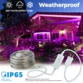 West Ivory 1143LEDs, 150ft Pink Outside LED Rope Light, 8 Modes ...