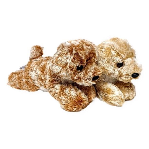 Coco Puppy