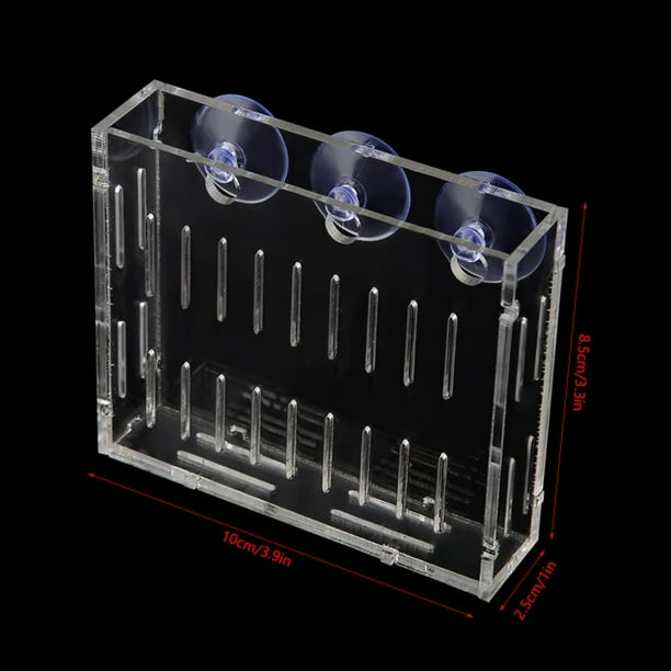 Fugacal Aquarium Plant Water Grass Cup Landscape Plants Cultivation ...