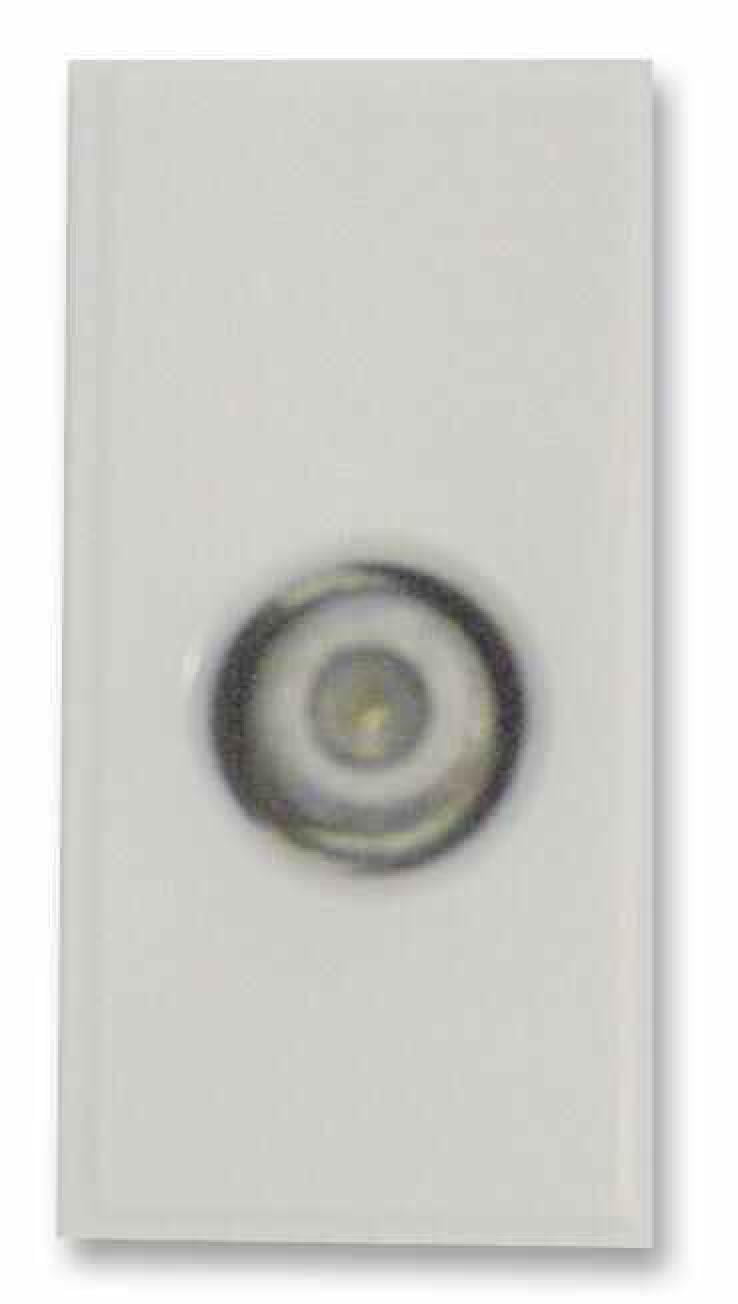 TRIAX - Single F Type Connector Euro Module, White - Walmart.com