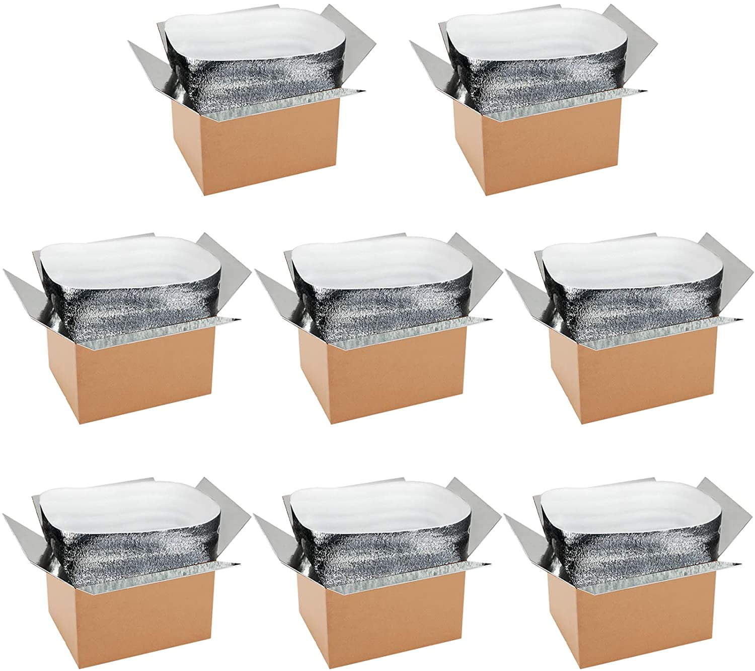 YSSOA Thermo Chill Double Insulated Carton with Foil Insulated Bag ...