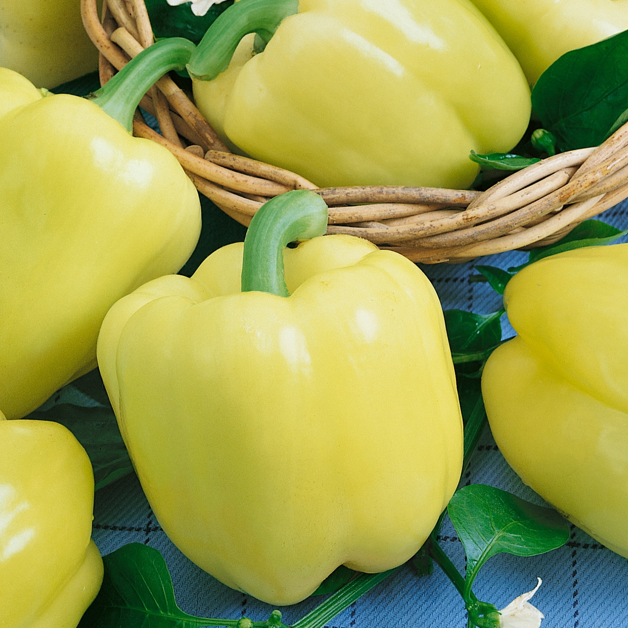 Diamond Sweet Pepper Seeds - 300 Mg Packet ~50 Seeds - Non-GMO ...