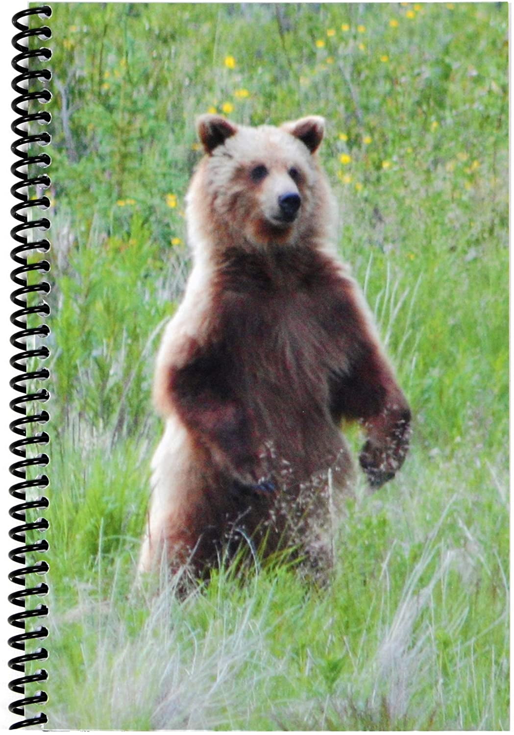 The Superior Register Bear Check and Debit Card Register, Simple ...