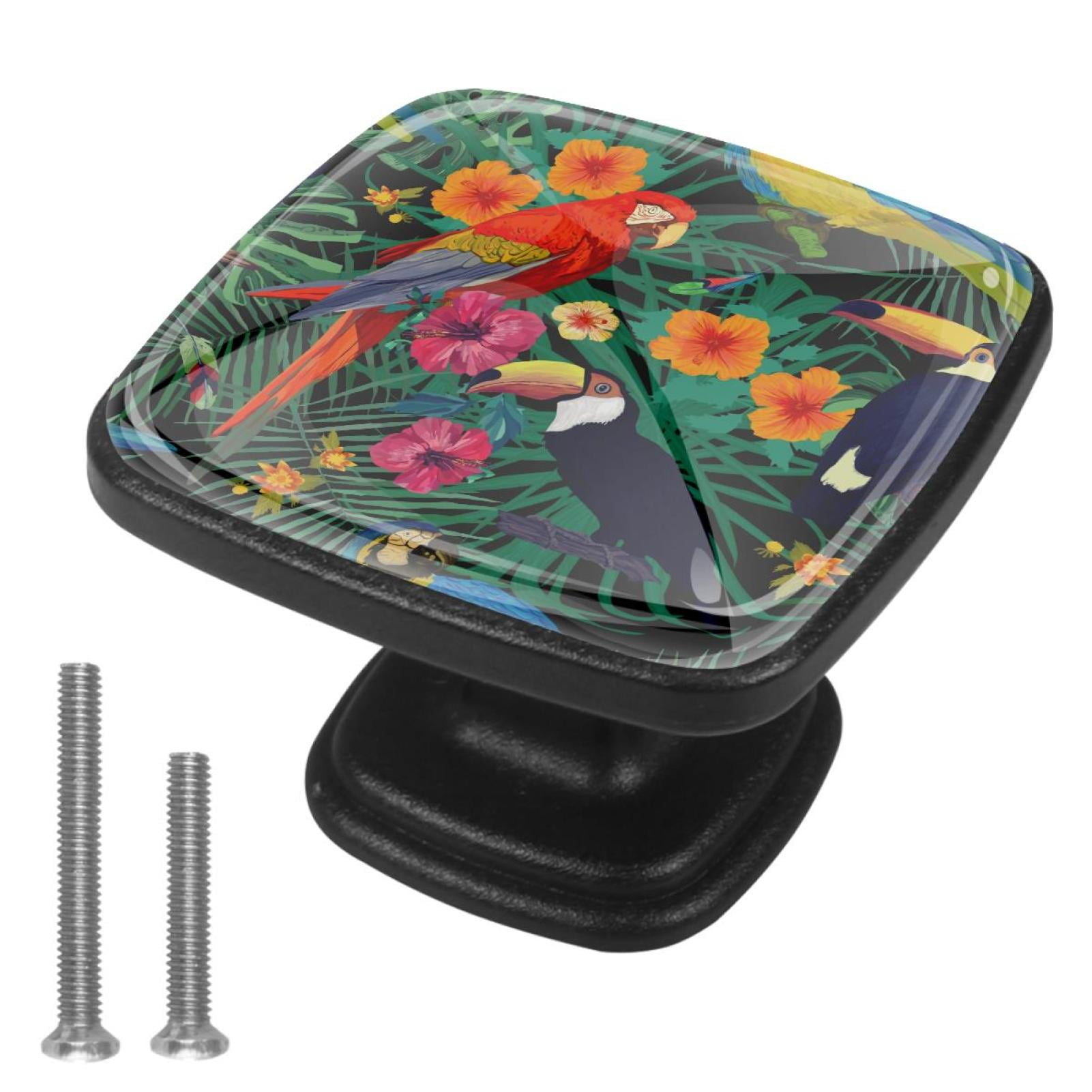 4 Pcs Cabinet Handle Drawer Pulls Parrot Knobs with Screws Square ...