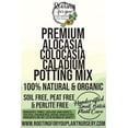 Alocasia - Colocasia - Caladium Premium Potting Mix - Walmart.com