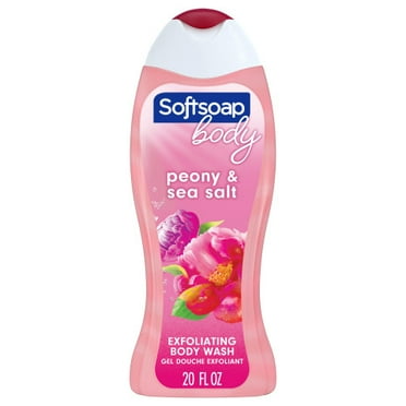 Softsoap Moisturizing Body Wash, Vanilla and Jojoba Oil, 20 oz, 2 Pack ...