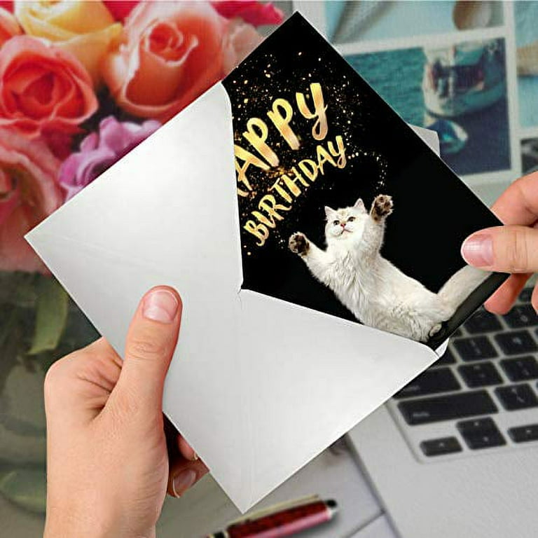 Funny Cat Happy Birthday Ecards