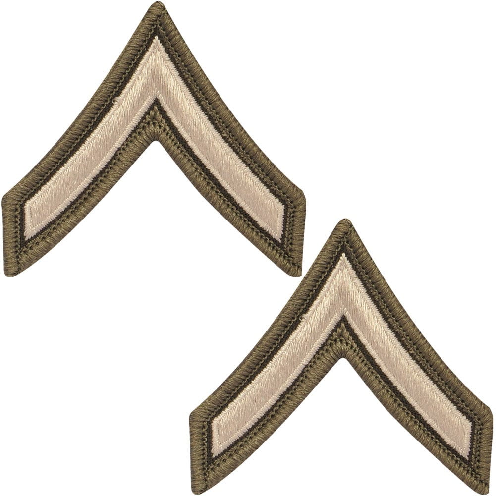 Army AGSU Private E-2 Cloth Rank Female - Walmart.com