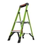 Werner 264 2-Step Type III Aluminum Platform Ladder - Walmart.com