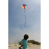 In the Breeze Lobster 30 Inch Diamond Kite - Single Line - Includes ...