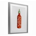 Stupell Industries Iconic Hot Sauce Bottle Gray Framed Print Under ...