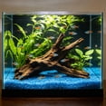 2000Pcs Luminous Sand, Glow in Dark Aquarium Gravel, Multi-color ...