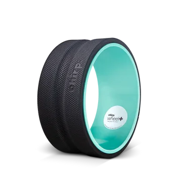 Chirp Wheel Plus 10" - DTC - Walmart.com