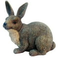Michael Carr Designs MCD511011GY Brother Rabbit Polyresin - Walmart.com