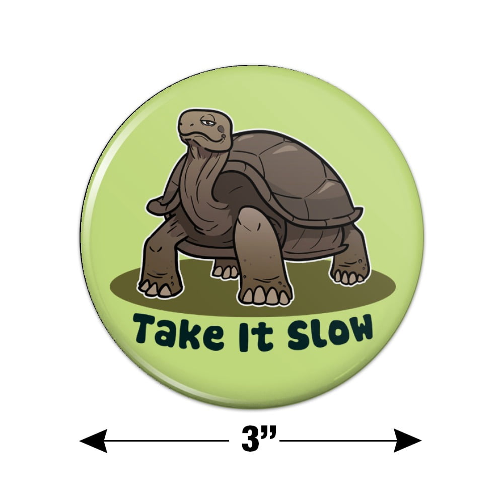 Slow Turtle Clipart