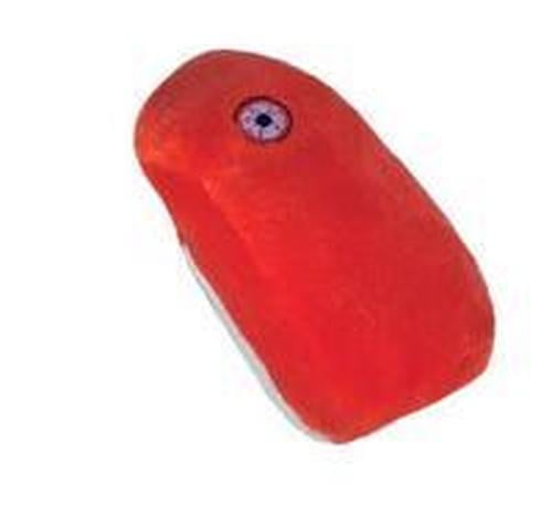 giant microbes rabies virus educational plush - Walmart.com