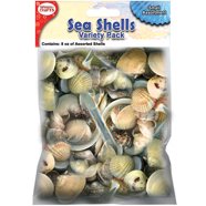 Alabaster Murex Seashell 4-5" - Walmart.com