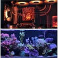 4 pieces of 3/16 inch 5/16 inch 12 inch transparent acrylic tubes hard ...