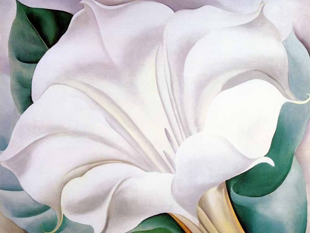 The White Trumpet Flower - CANVAS or PRINT WALL ART - Walmart.com