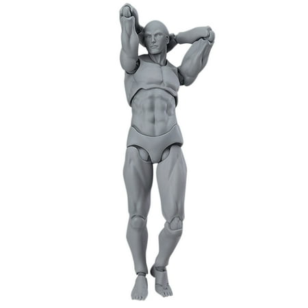 Articulated Mannequins Human Body Models Movable Action Figure Models ...