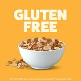 Post Cinnamon Pebbles Breakfast Cereal, Gluten Free, Family Size Box ...