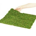 Decorative Floral Moss Cloth: 16 x 18 inches - Walmart.com