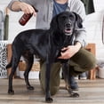 The Spruce Gentle Waterless Shampoo for Dogs, Cats, Kittens, Soothing ...