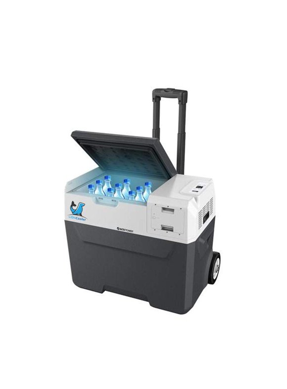 Portable Freezers in Freezers - Walmart.com