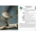 Bird Identification Guides: Birds of Texas Field Guide (Paperback ...