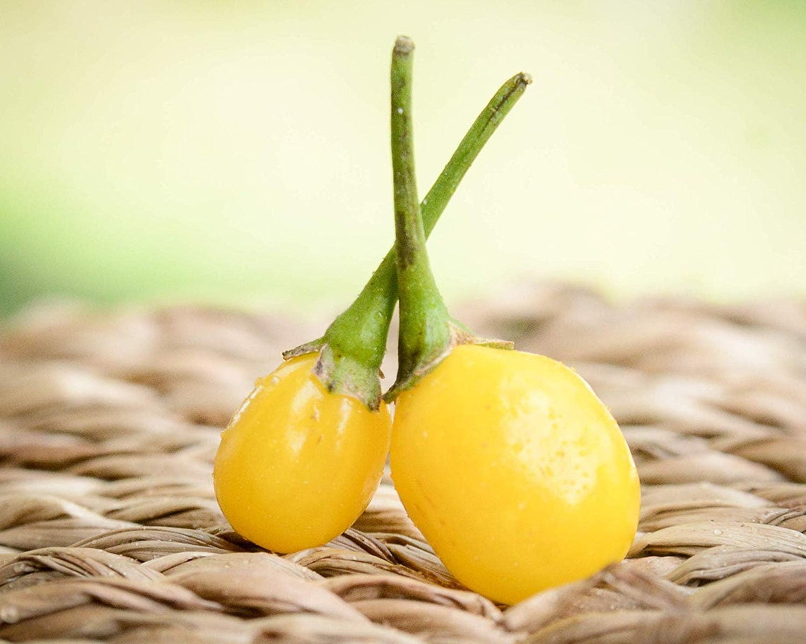Yellow Wiri Wiri Heirloom Pepper Premium Seeds Packet - Walmart.com