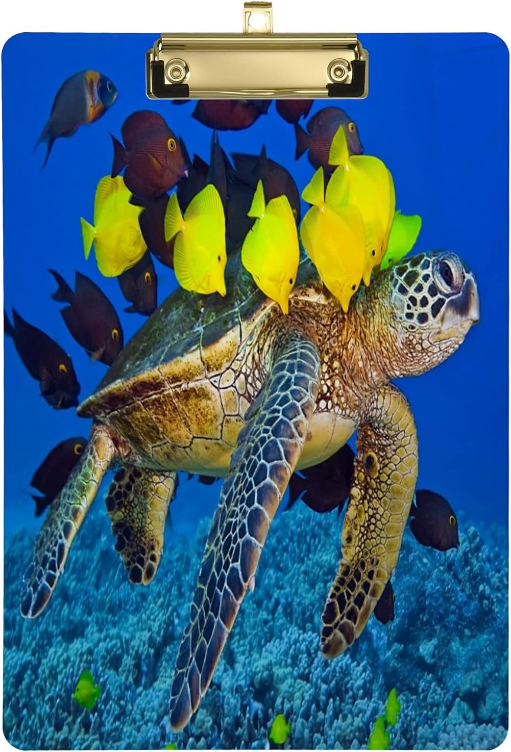 ZHANZZK Wildlife Nature Sea Fish Turtle Clipboard Hardboard Wood ...
