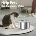 SCENTORINI Pet Water Fountain Filter, 12 Carbon & 12 Sponge Replacement ...