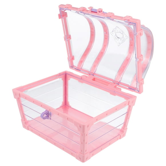 Clear Lock Box